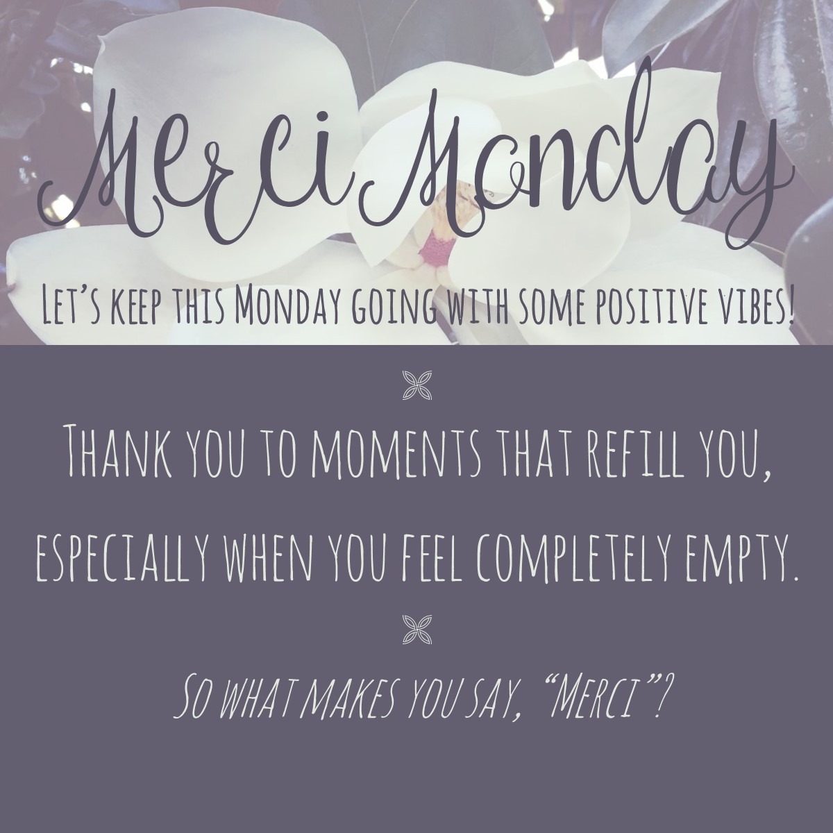 Merci Monday: That Moment When… – Mea Smith